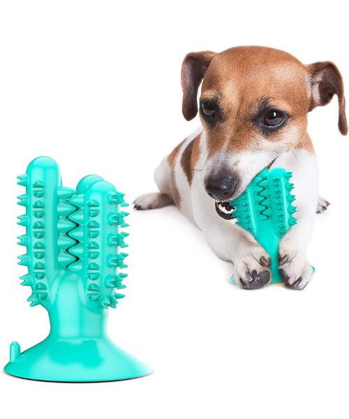Best Gifts for Dog Lovers and Their Cherished Canine Companions ...
