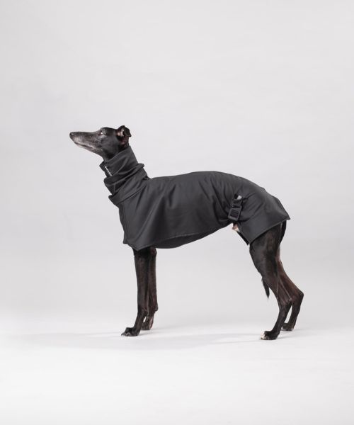 Best Gifts for Dog Lovers and Their Cherished Canine Companions ...