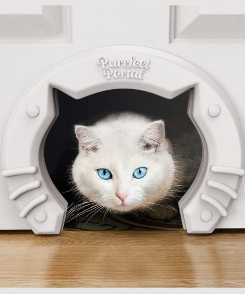 Cat-Shaped Kitty Door - ThingsFromMars.com
