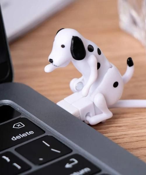 Best Gifts for Dog Lovers and Their Cherished Canine Companions ...