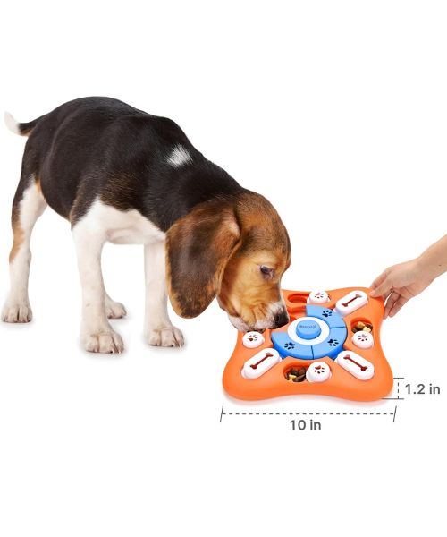 Best Gifts for Dog Lovers and Their Cherished Canine Companions ...