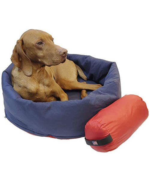 Best Gifts for Dog Lovers and Their Cherished Canine Companions ...
