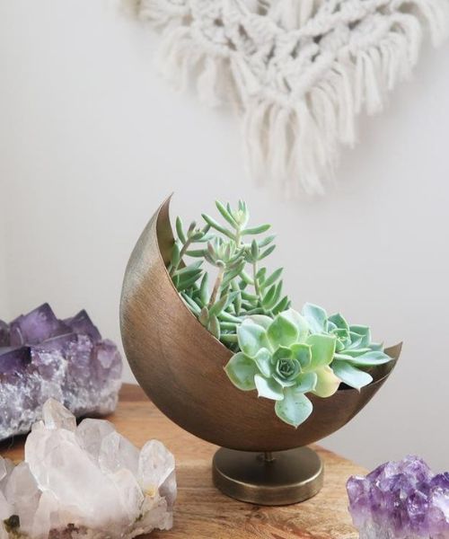 Moon Planter - ThingsFromMars.com