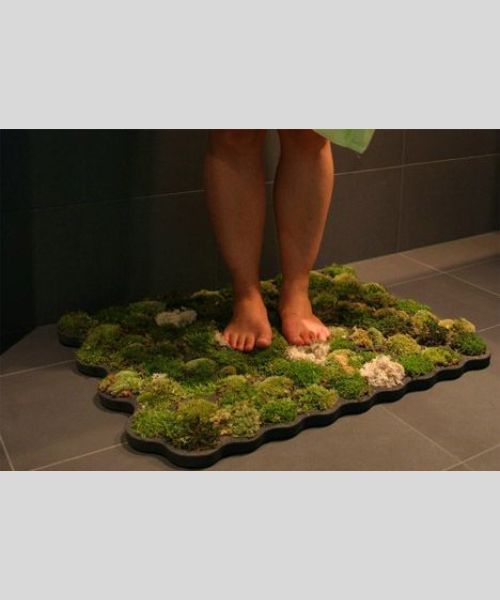 Refreshing Gifts For Nature Lovers To Explore The Beauty ThingsFromMars.com