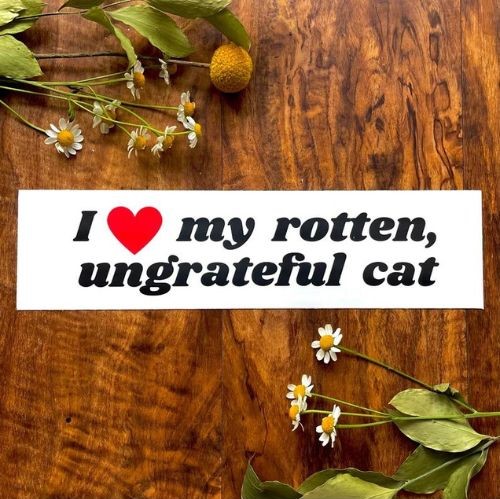 Rotten Ungrateful Cat Funny Meme Bumper Sticker - ThingsFromMars.com