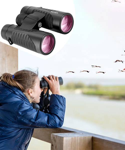 Bird Robin Nail Art Decals - ThingsFromMars.com