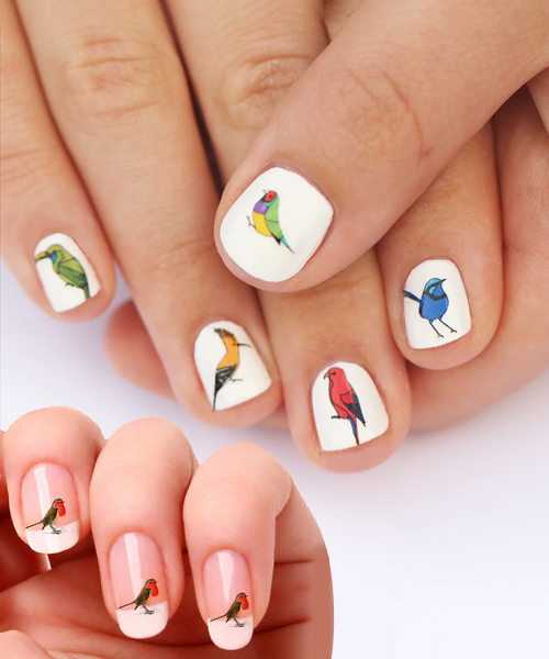 Bird Robin Nail Art Decals - ThingsFromMars.com