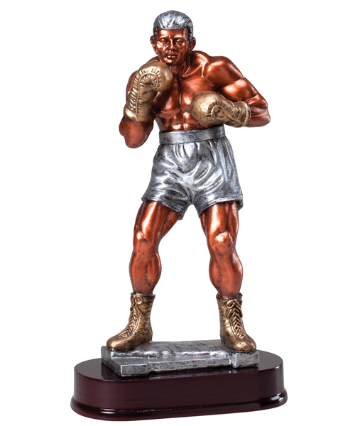 Boxing Award Trophy - ThingsFromMars.com