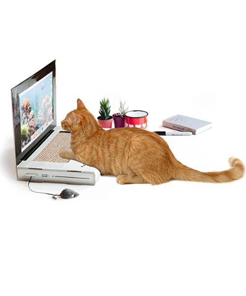 Cat Scratch Laptop - ThingsFromMars.com