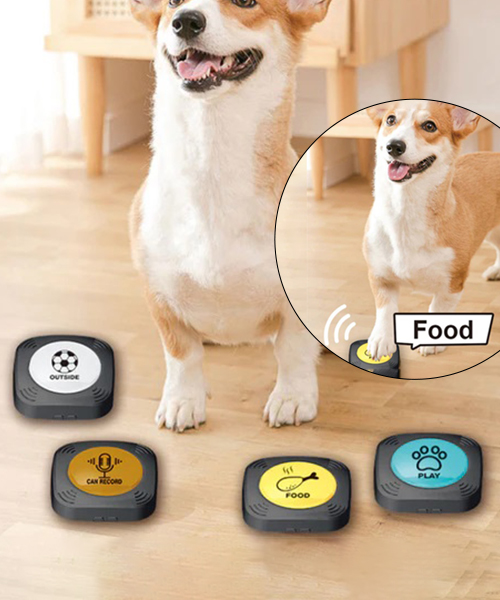 Command Pet Buttons: Make Your Furry Friends Learn To Communicate ...