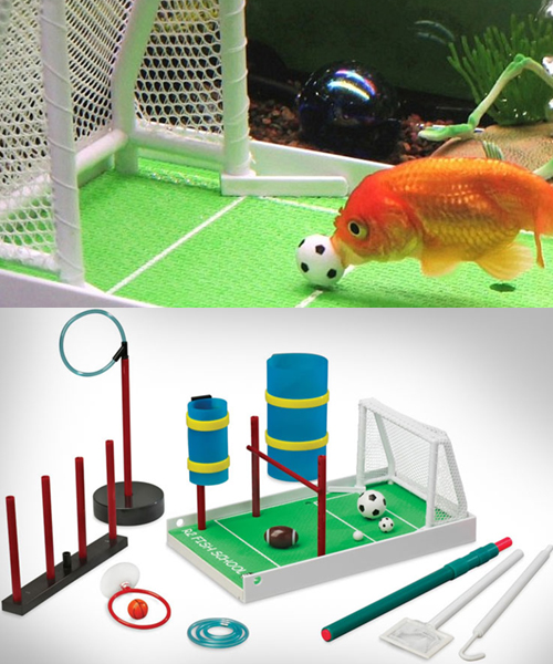 Fish Soccer Training Kit - ThingsFromMars.com