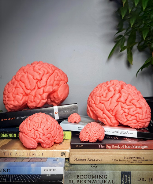 Human Brain Ultra HD 3D Print - ThingsFromMars.com