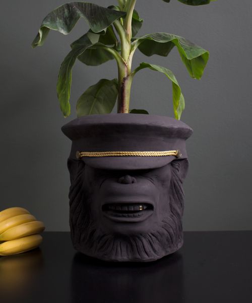 Funny Planters That Will Crack Up Any Plant Lover ThingsFromMars.com