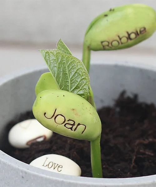 Planter Pot - ThingsFromMars.com