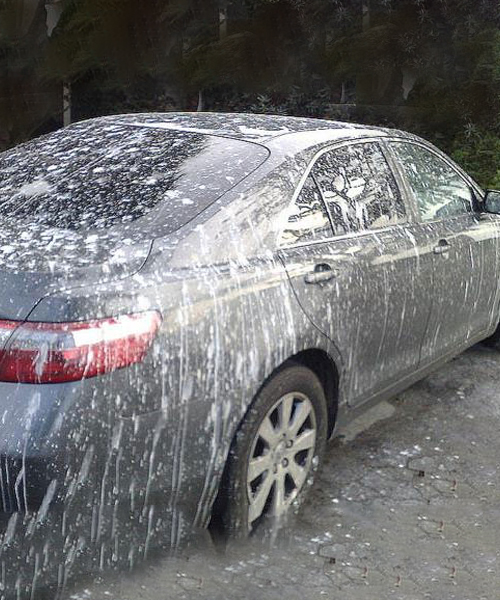 Prank Fake Bird Poop - ThingsFromMars.com