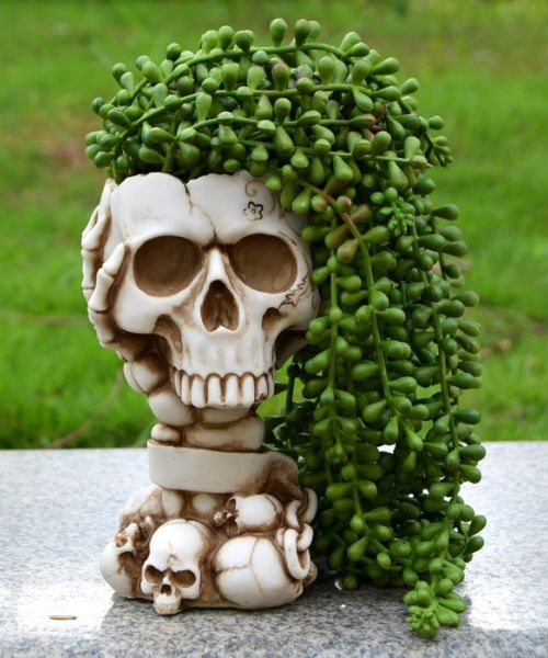 DIY Paper Plants Craft Kit - ThingsFromMars.com