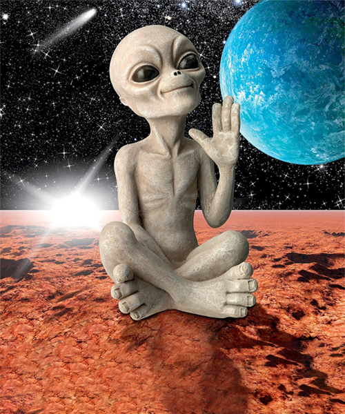 Incredibly Weird Gifts That You Won't Believe Exist ThingsFromMars.com